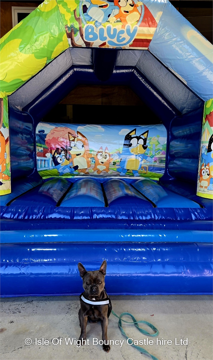 bluey bouncy castle - Bouncy Castle Hire and party hire in Isle Of ...